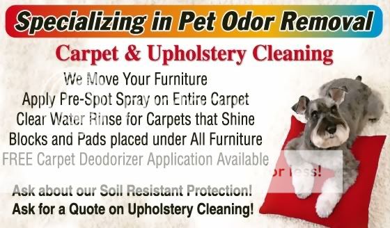 Detailed Notes on Coit Carpet Cleaning In Step by Step Order | Diy Tile ...